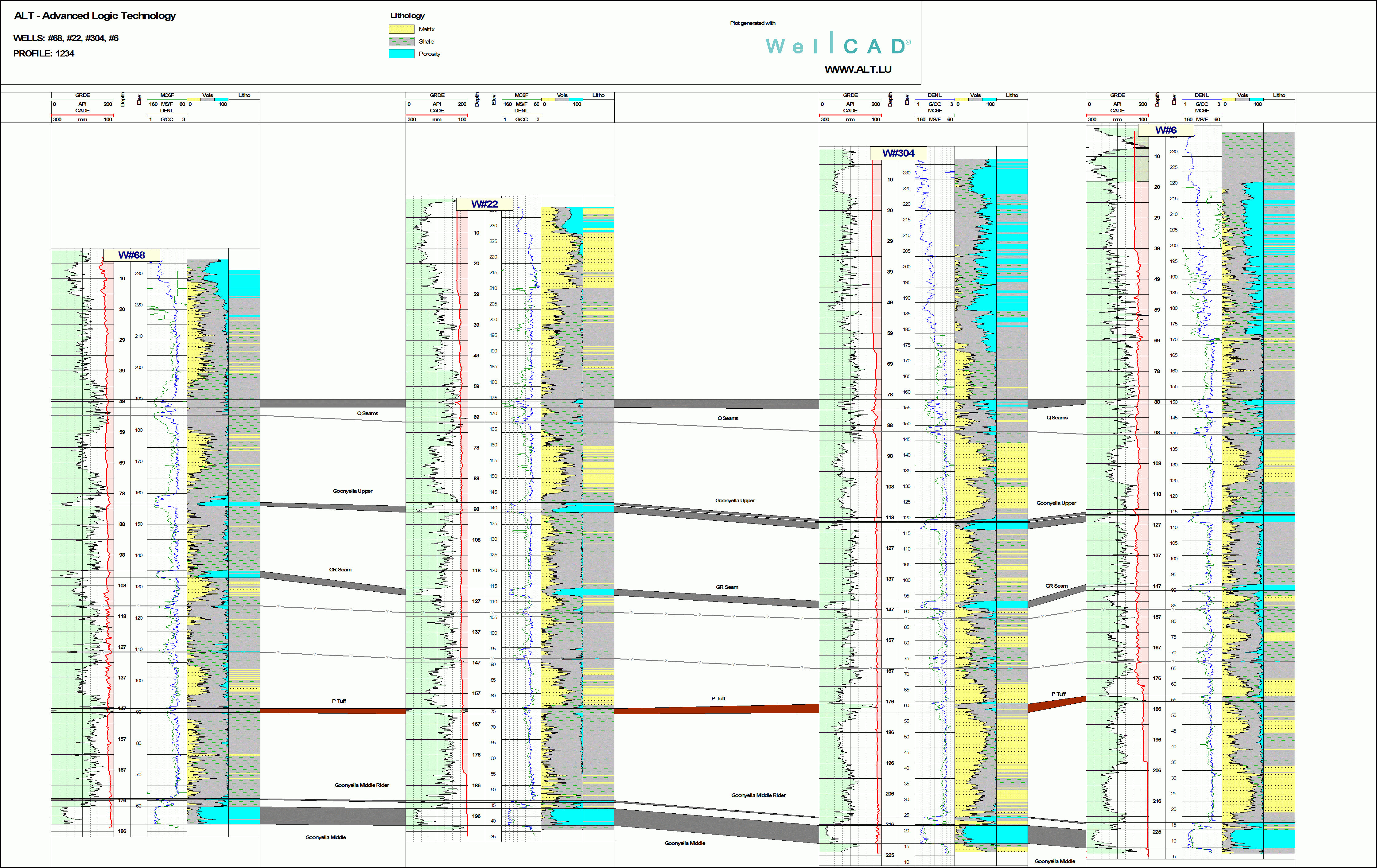 Multi-Well – WellCAD by ALT