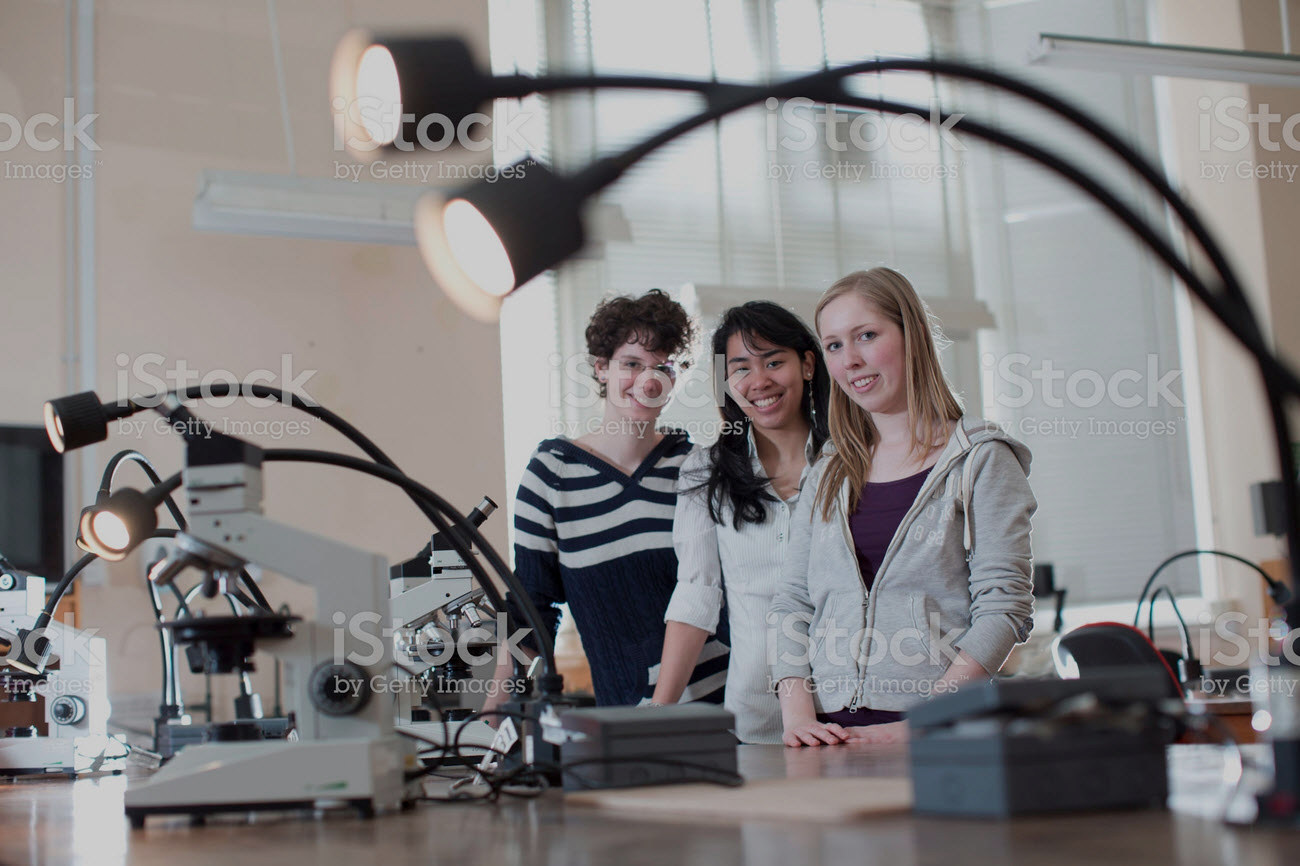 Image & Structure Interpretation (ISI) – WellCAD by ALT